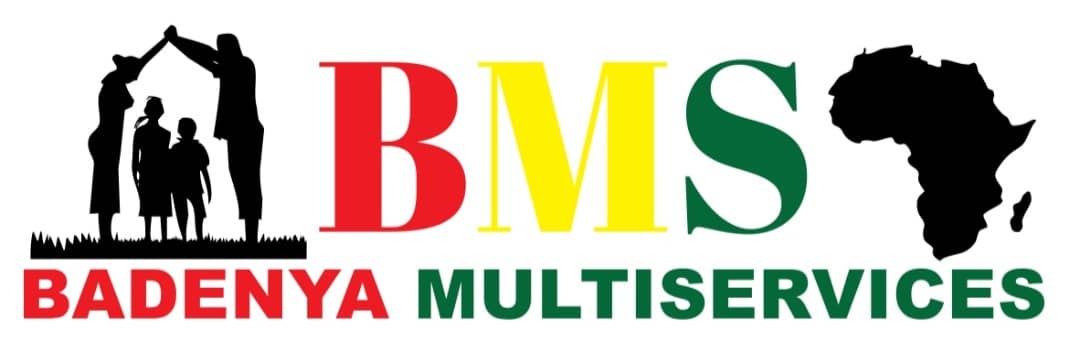 Login | BMS.SA